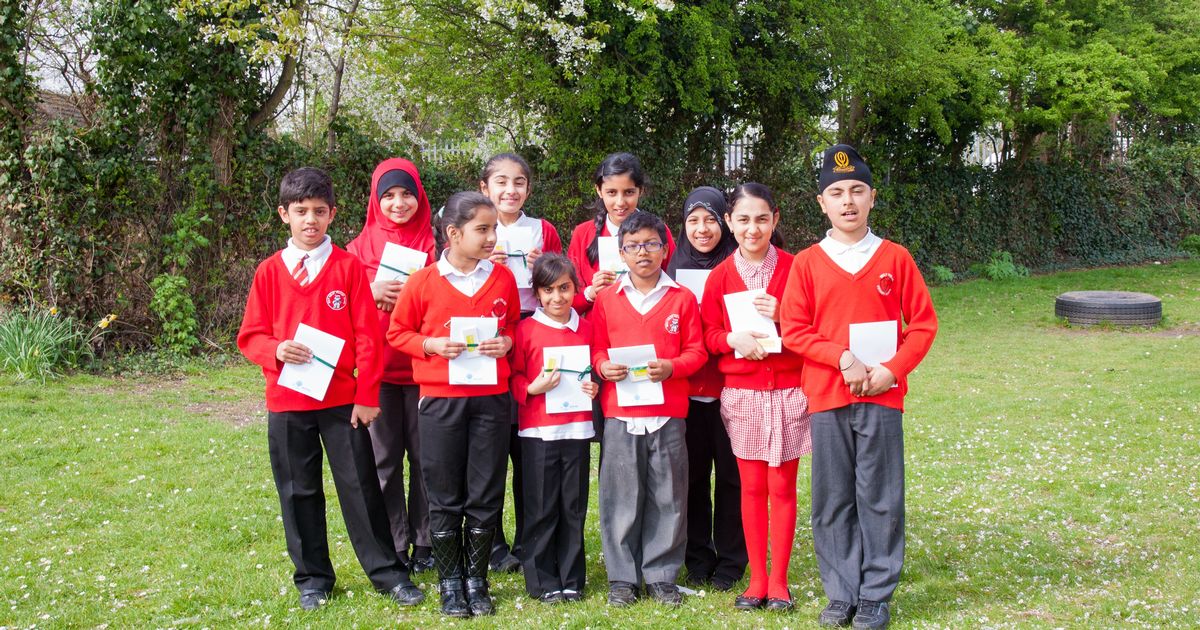 Wolf Fields Primary School | Education IT Support
